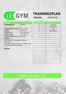 Trainingsplan Ausdauer Anfanger Pdf